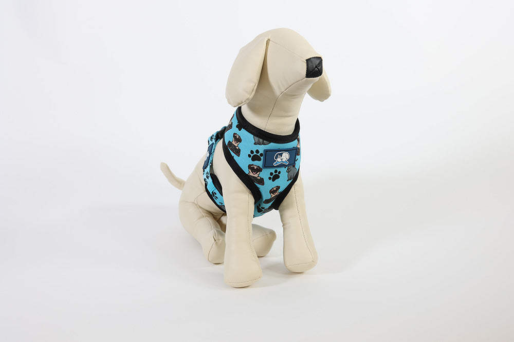 The "DJ" Harness – Fetch Dog Gear